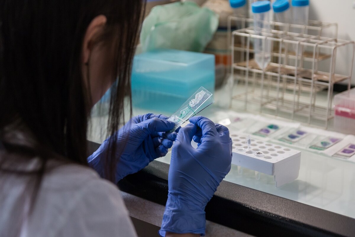 Drug & Alcohol Testing Training Course | Western Trainers